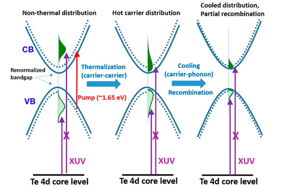 Real-Time Chemical Reactions and Structural Changes – Bergmann Research ...