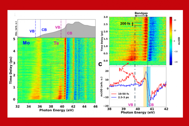 Real-Time Chemical Reactions and Structural Changes – Bergmann Research ...