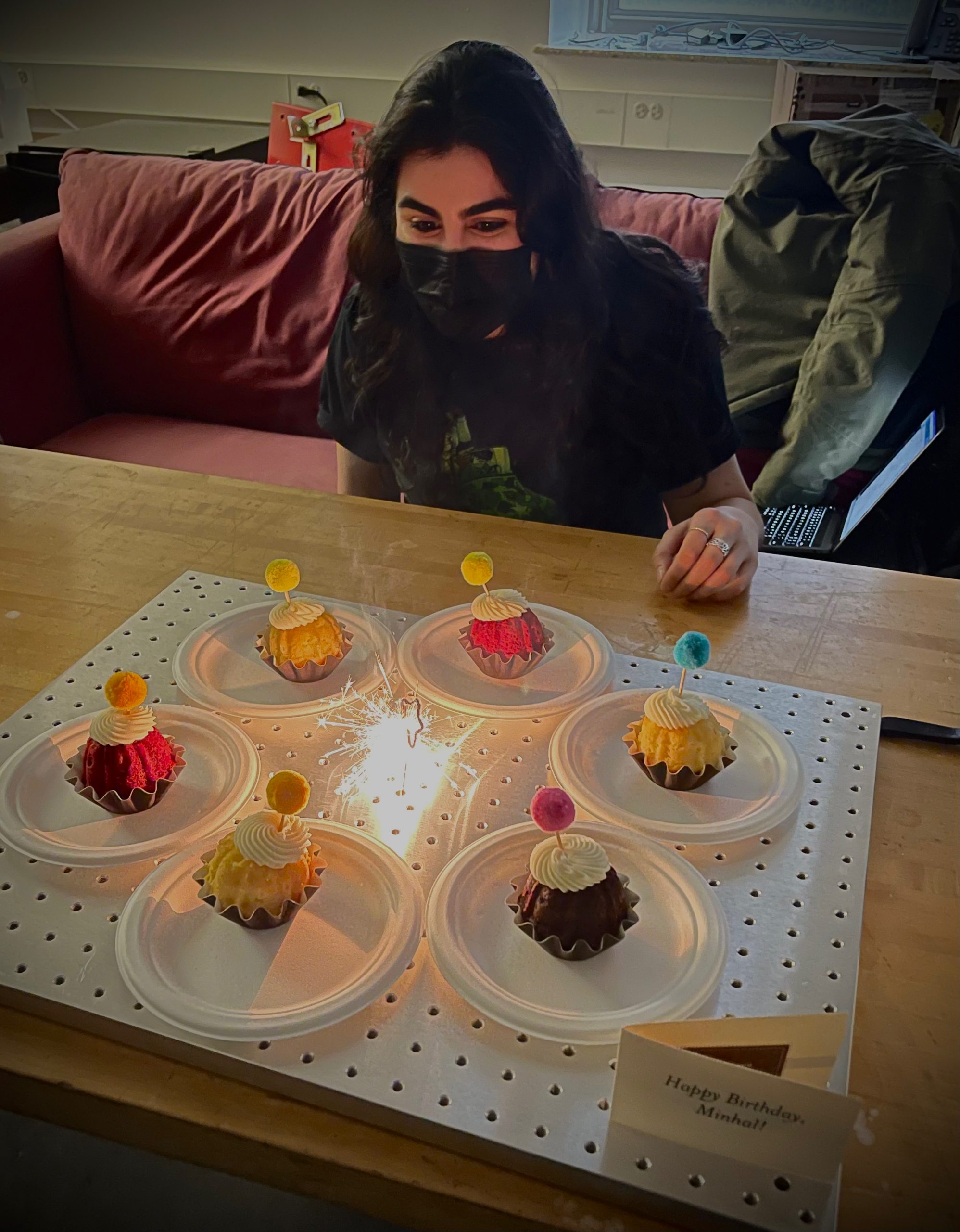 Minhal’s Birthday! – Bergmann Research Group – UW–Madison Minhal’s Birthday! – Bergmann Research Group – UW–Madison